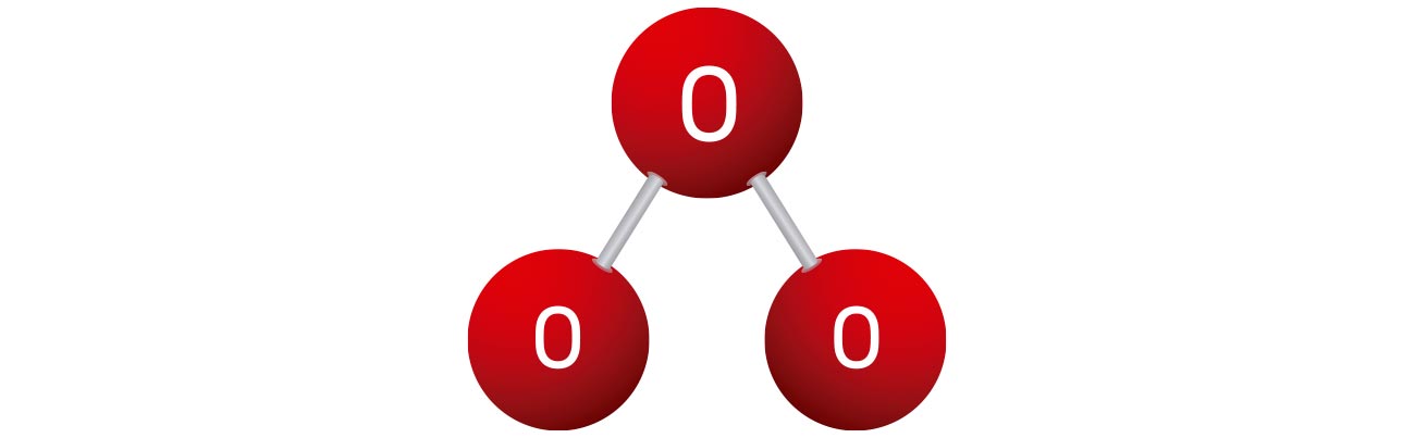 Classificação e composição química celular