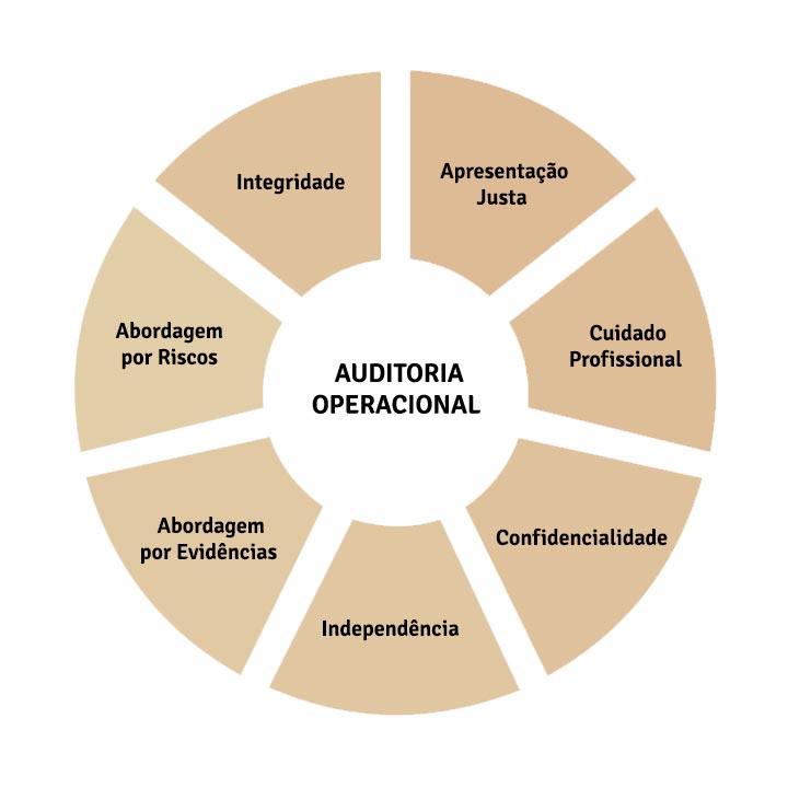 Aspectos introdutórios da Auditoria Operacional