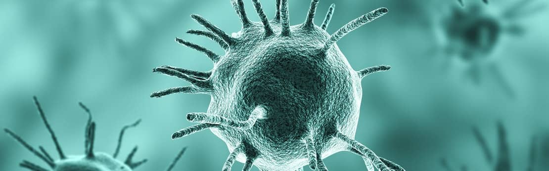 Introdução à Parasitologia