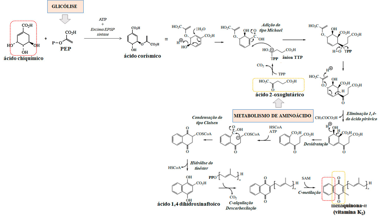 Perfil Químico e Biossíntese dos Policetídeos, Quinonas, Terpenos ...