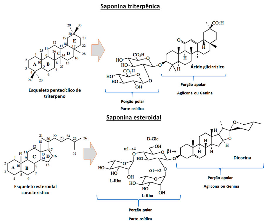 Perfil Químico e Biossíntese dos Policetídeos, Quinonas, Terpenos ...