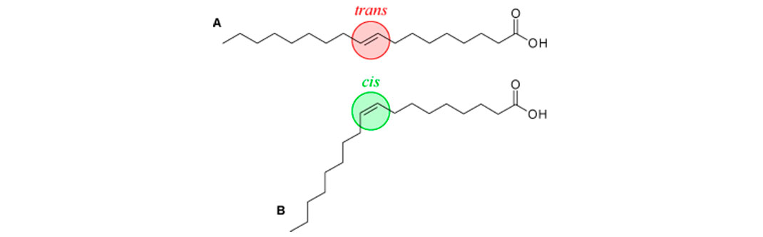 Perfil Químico e Biossíntese dos Policetídeos, Quinonas, Terpenos ...