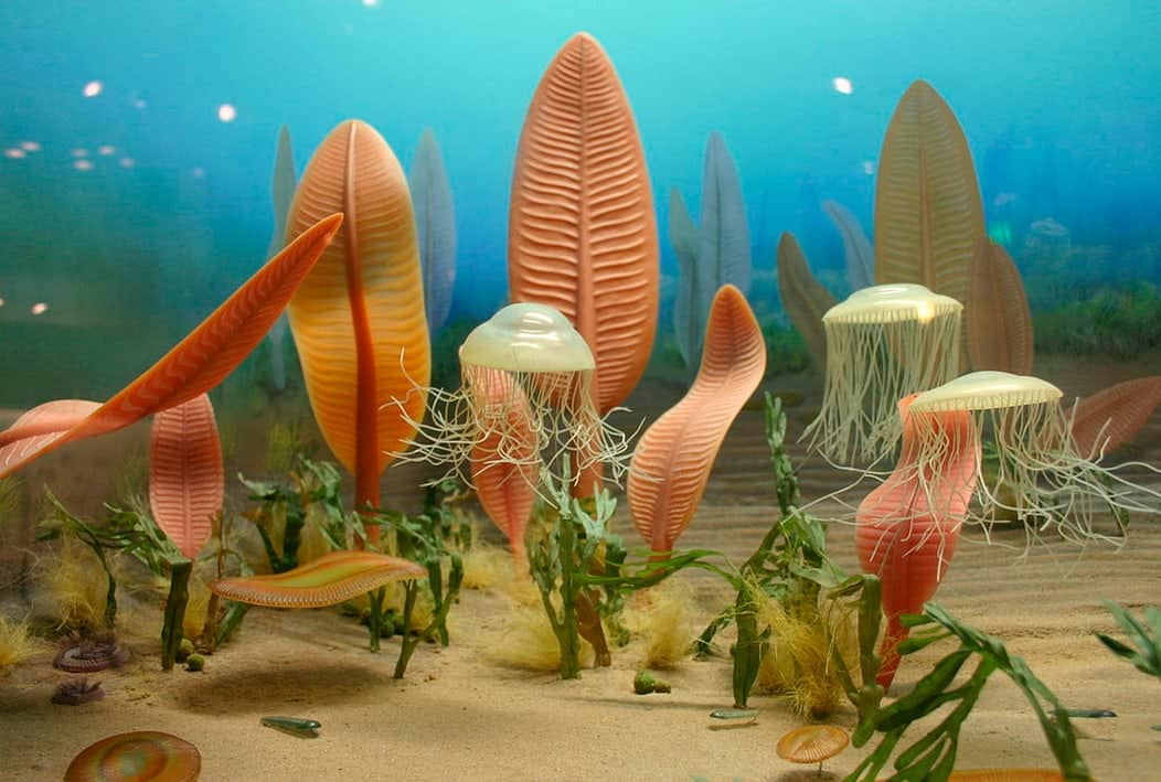 Princípios da Paleontologia