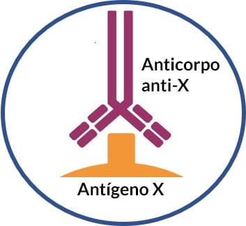 Introdução à imunologia clínica