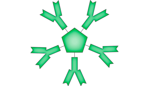 Introdução à imunologia clínica