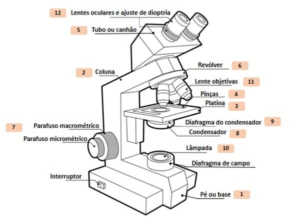 Microscopia de Luz