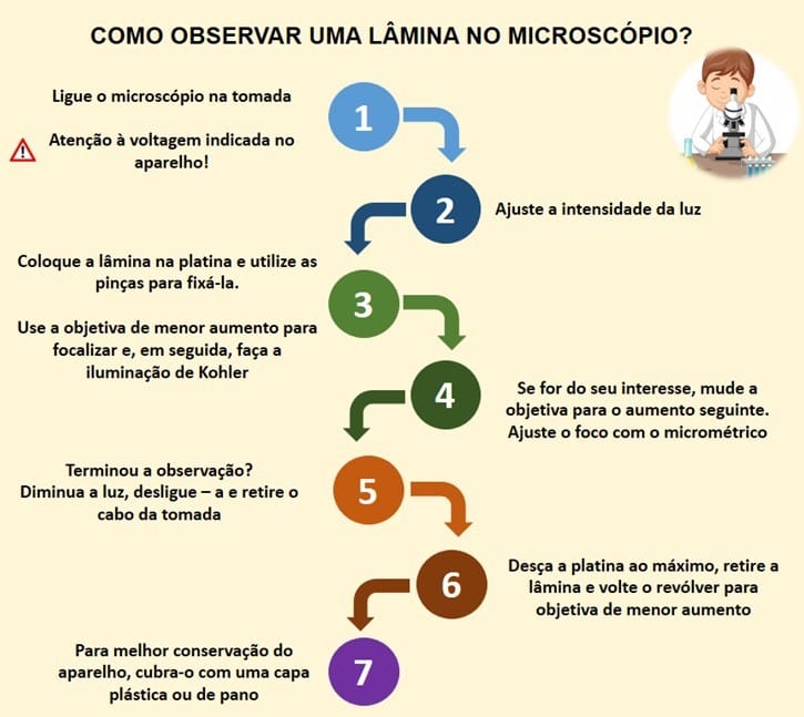 Microscopia de Luz