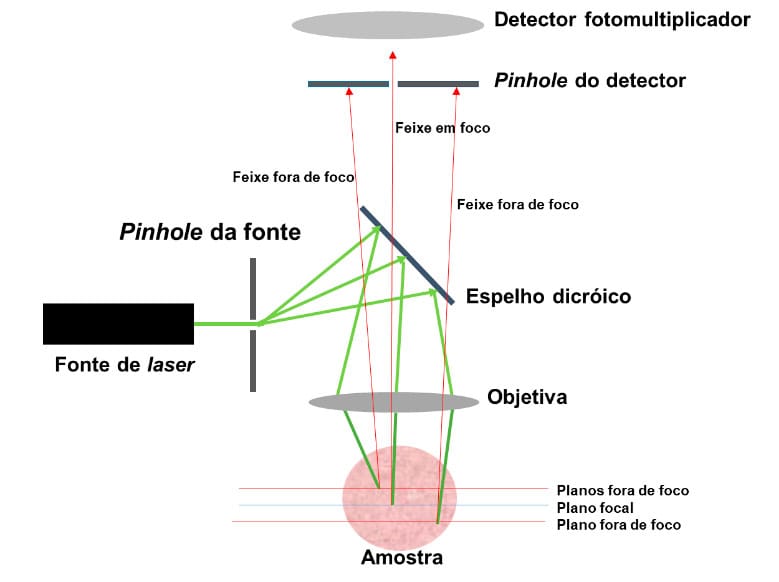 Microscopia de Luz